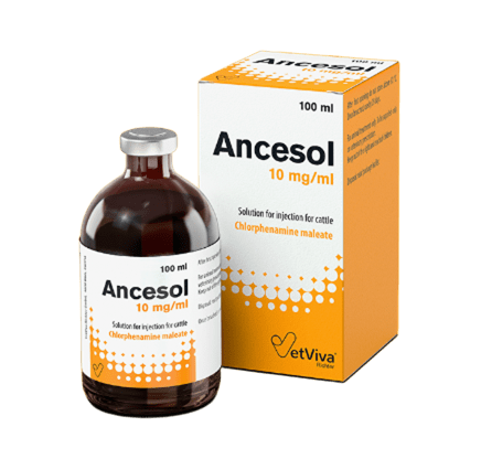 ANCESOL® 10 mg/ml - Laboratorios Karizoo
