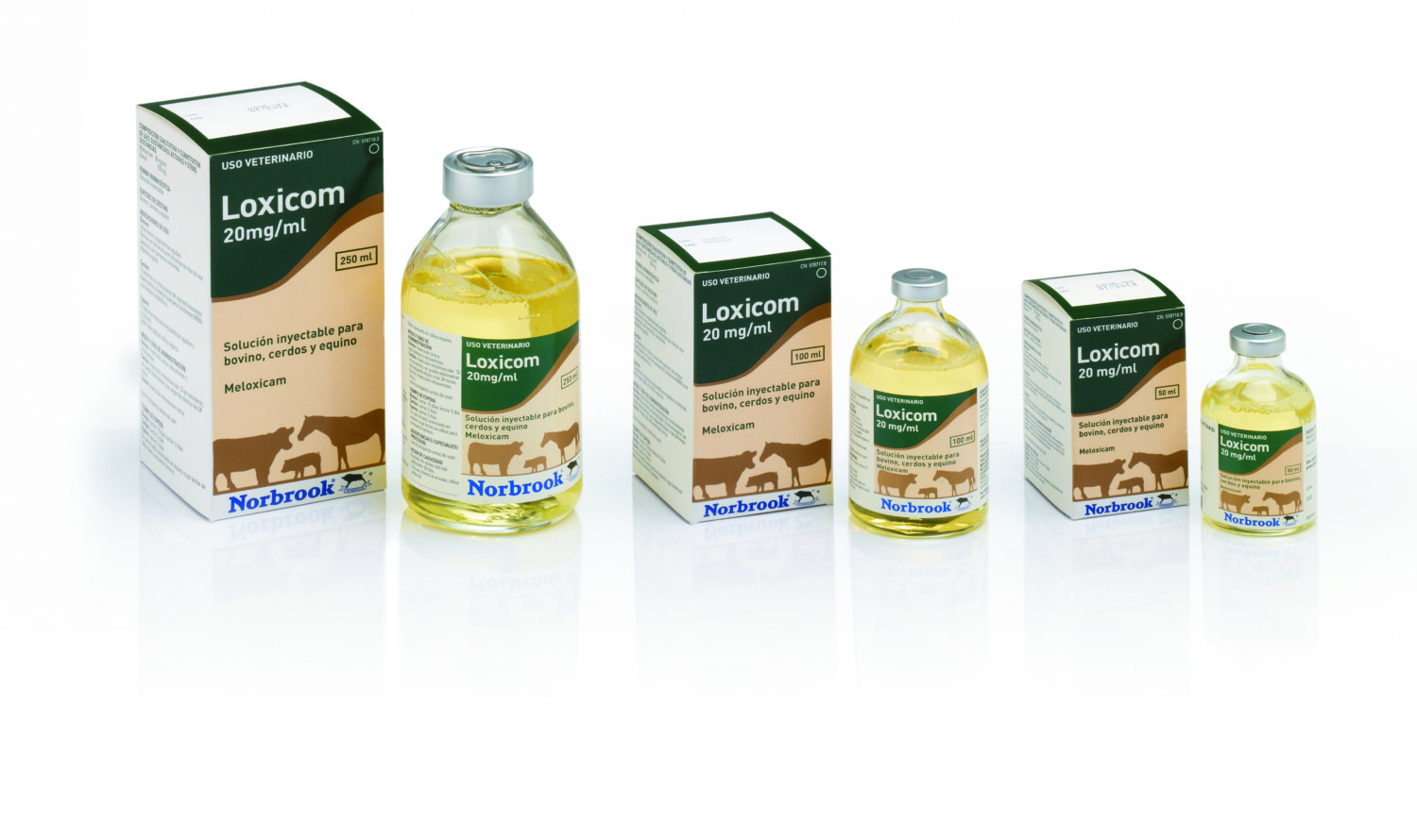 LOXICOM® 20 mg/ml - Laboratorios Karizoo