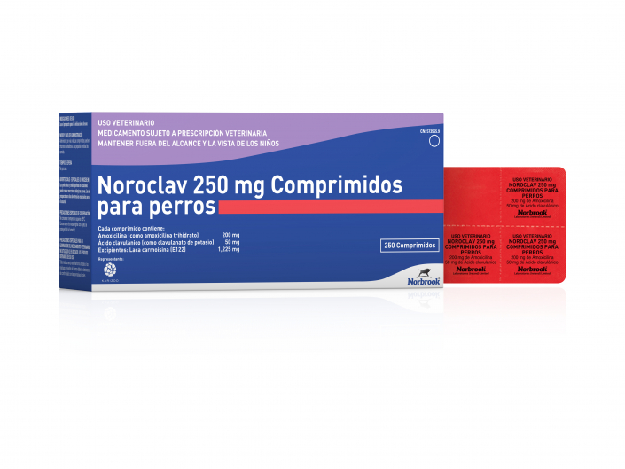 NOROCLAV® 250 mg - Laboratorios Karizoo