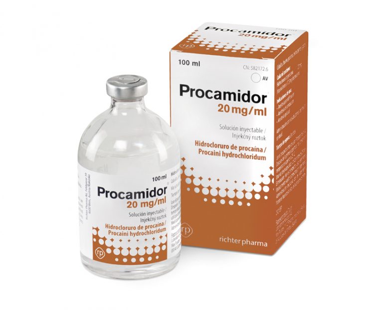 Descorne en bovinos - Laboratorios Karizoo