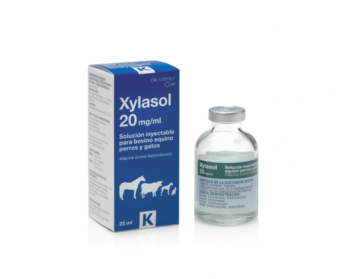 Descorne en bovinos - Laboratorios Karizoo